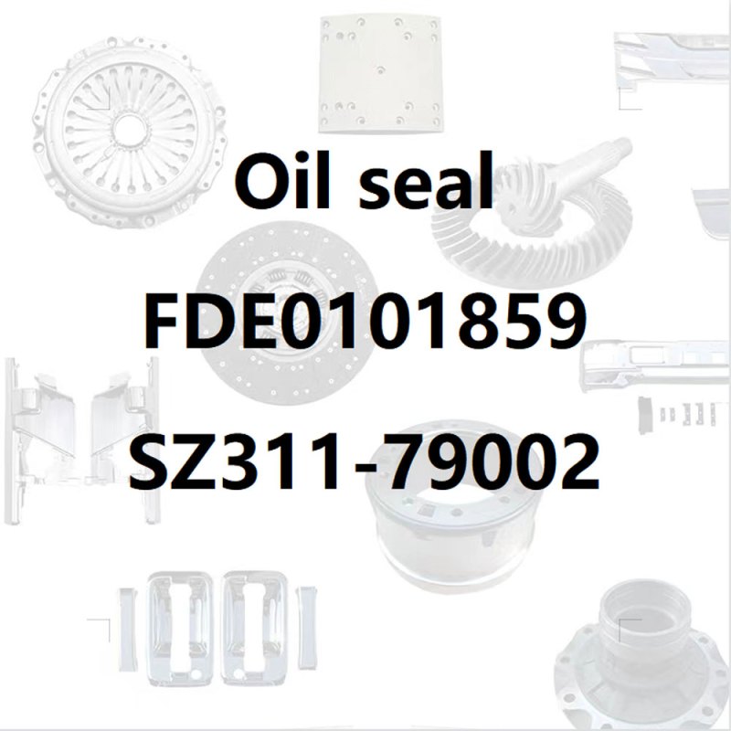 Oil seal (crankshaft rear) sz311-79002 – HINO ISUZU FUSO UD Truck Spare ...